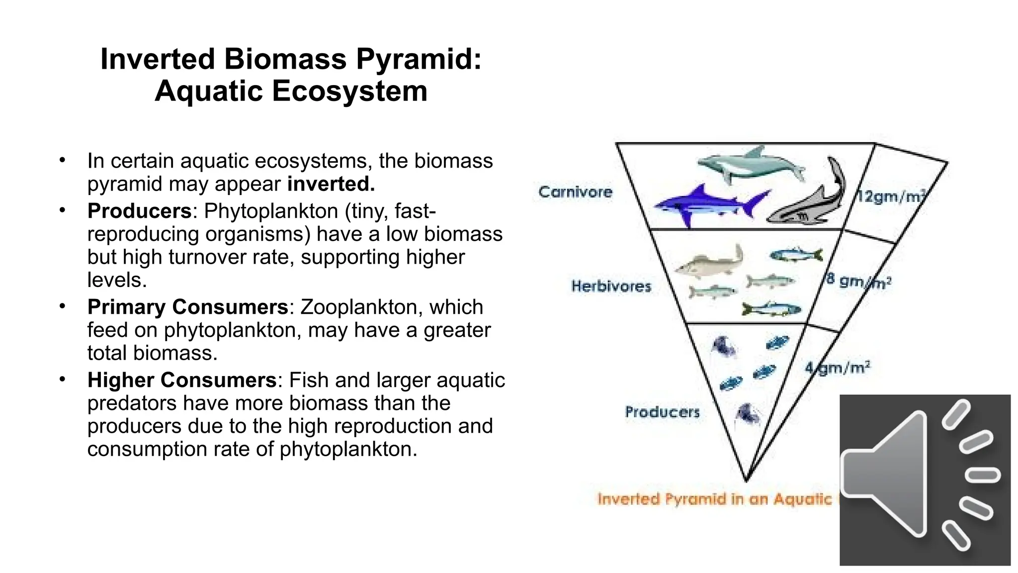 Ecological pyramids in different ecosystems | PPTX