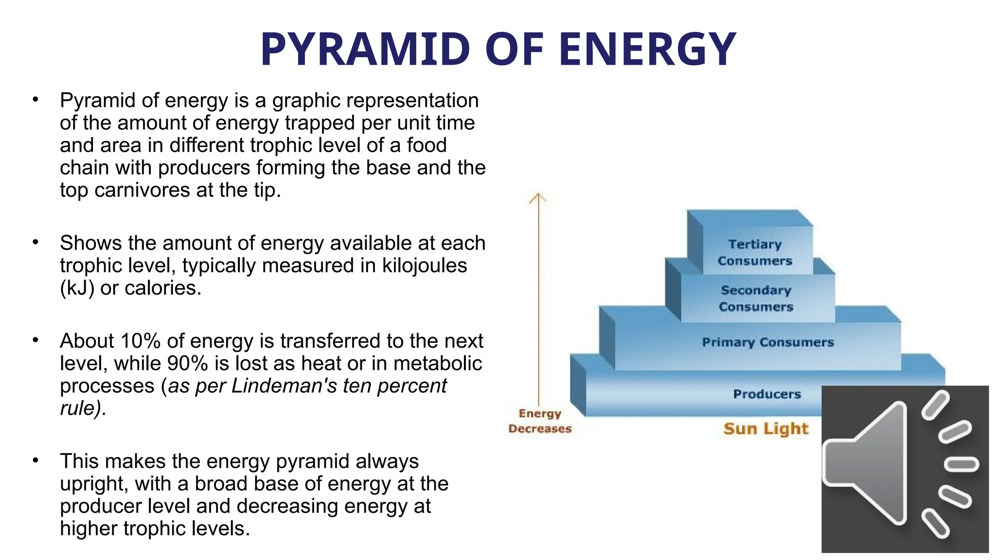 Ecological pyramids in different ecosystems | PPT