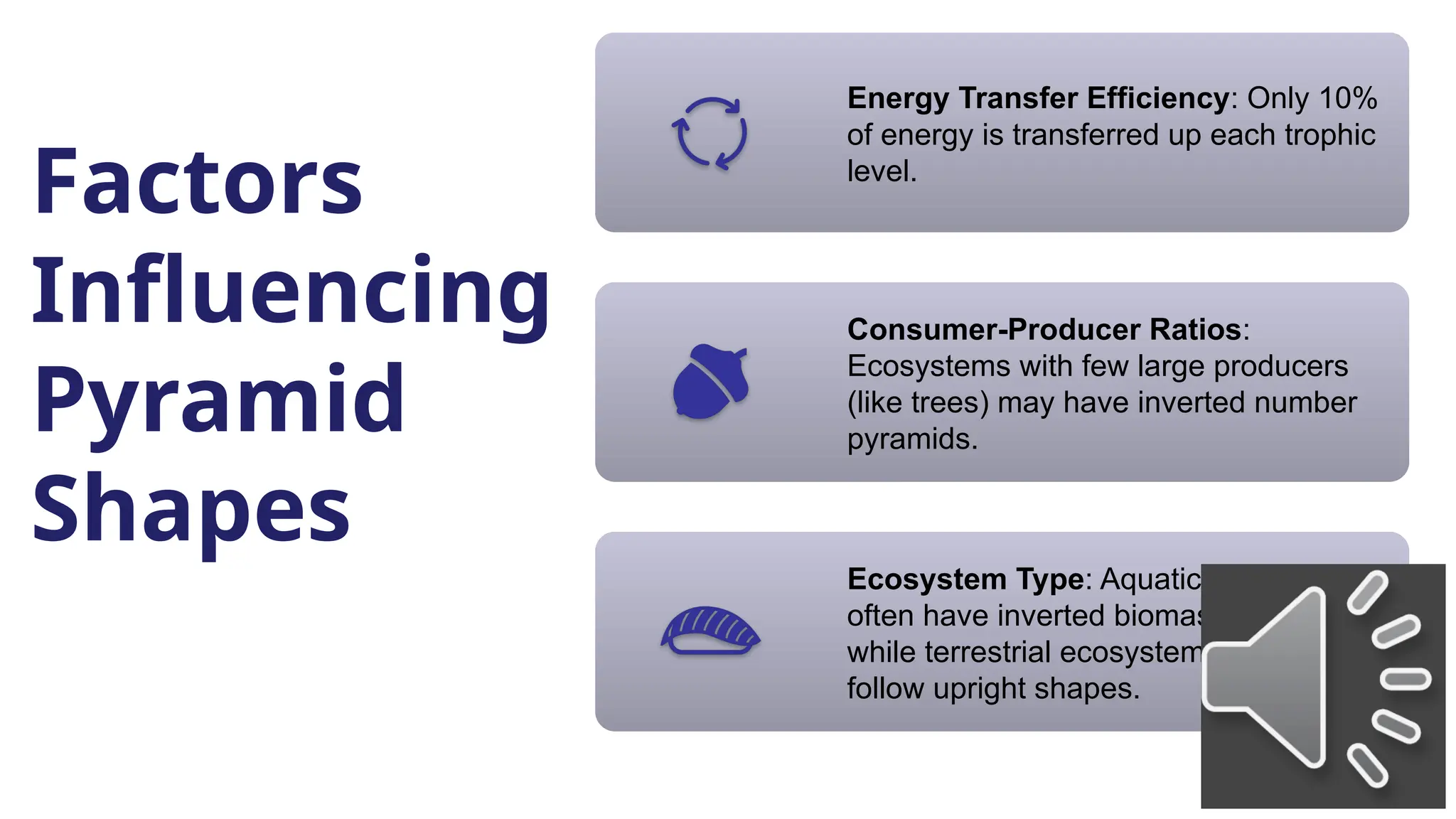 Ecological pyramids in different ecosystems | PPTX