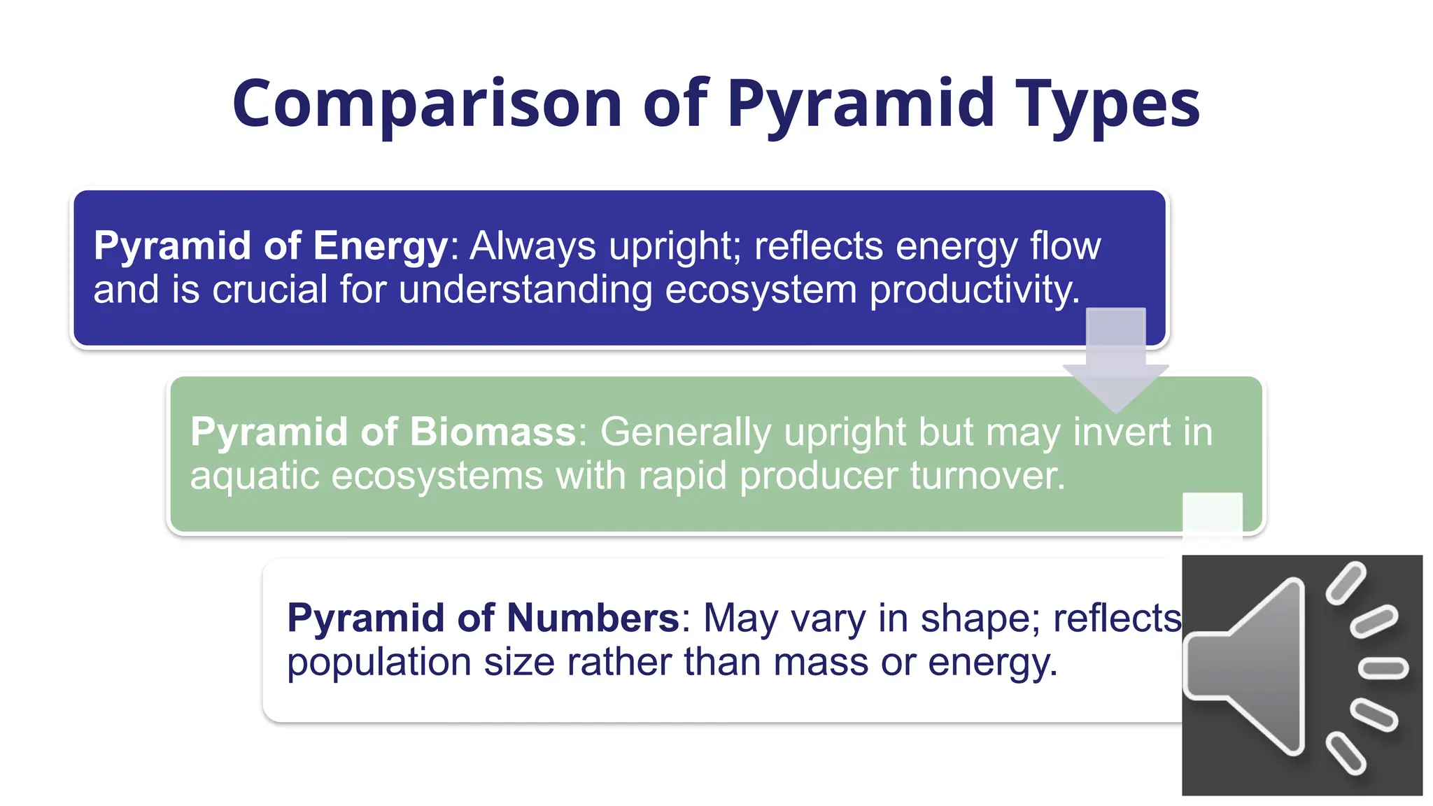 Ecological pyramids in different ecosystems | PPTX