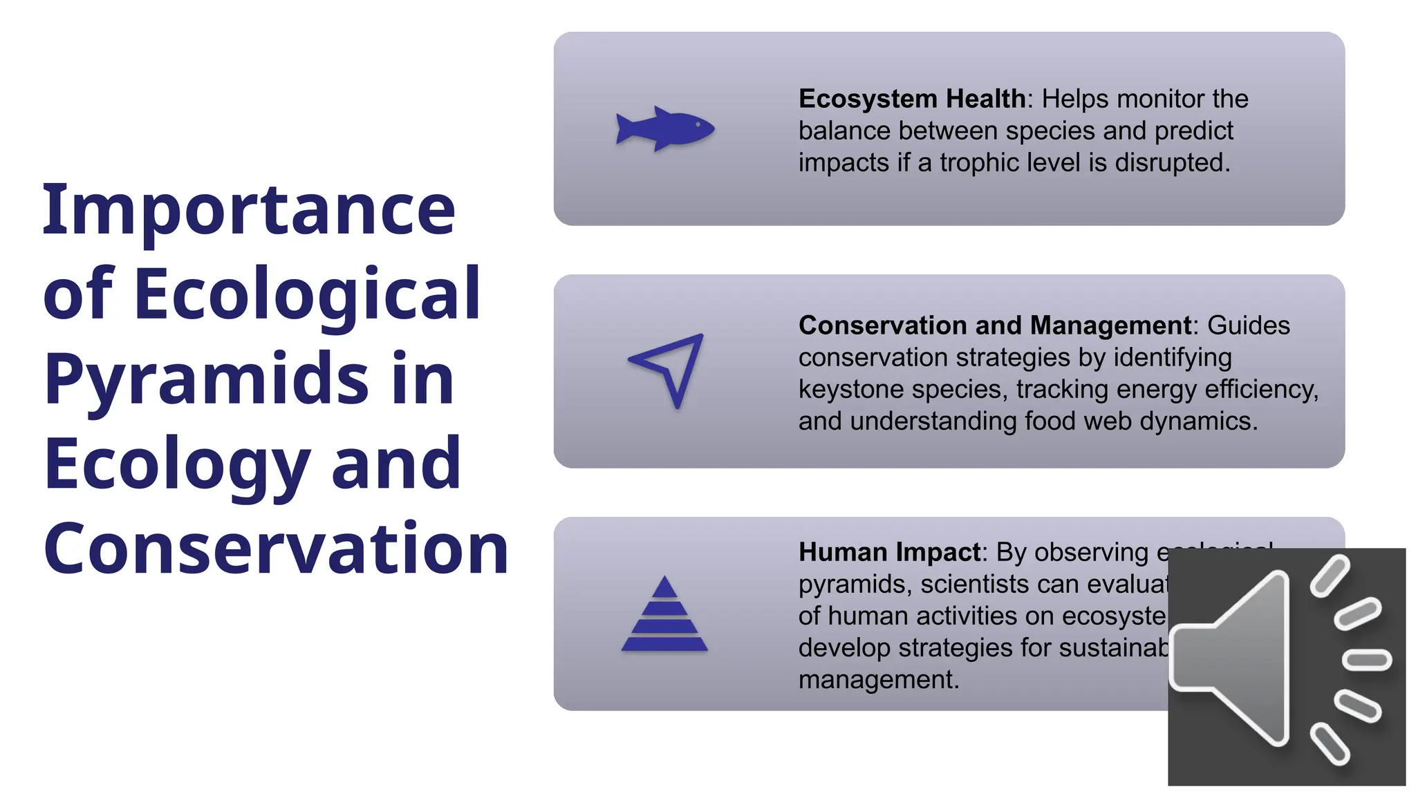 Ecological pyramids in different ecosystems | PPT