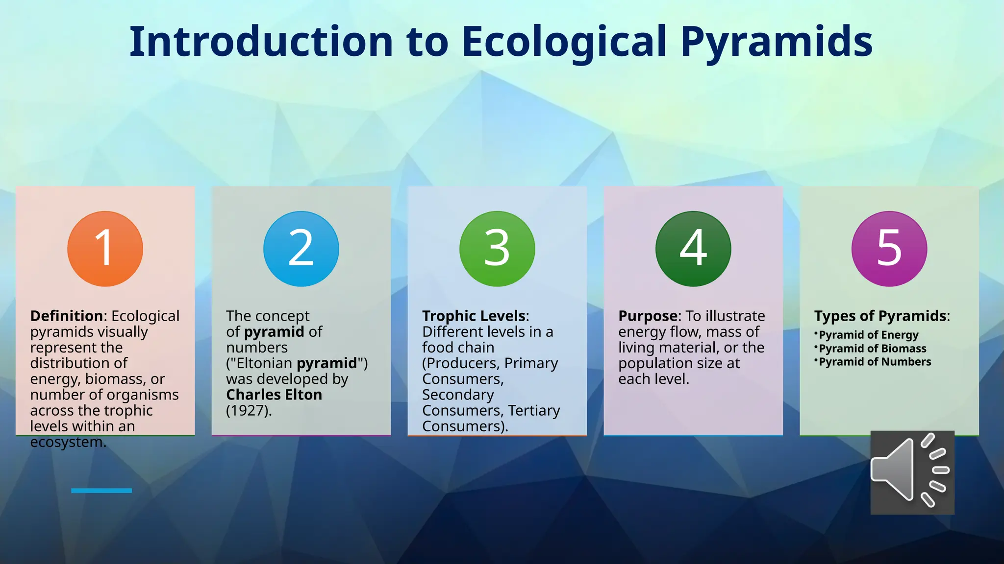 Ecological pyramids in different ecosystems | PPT
