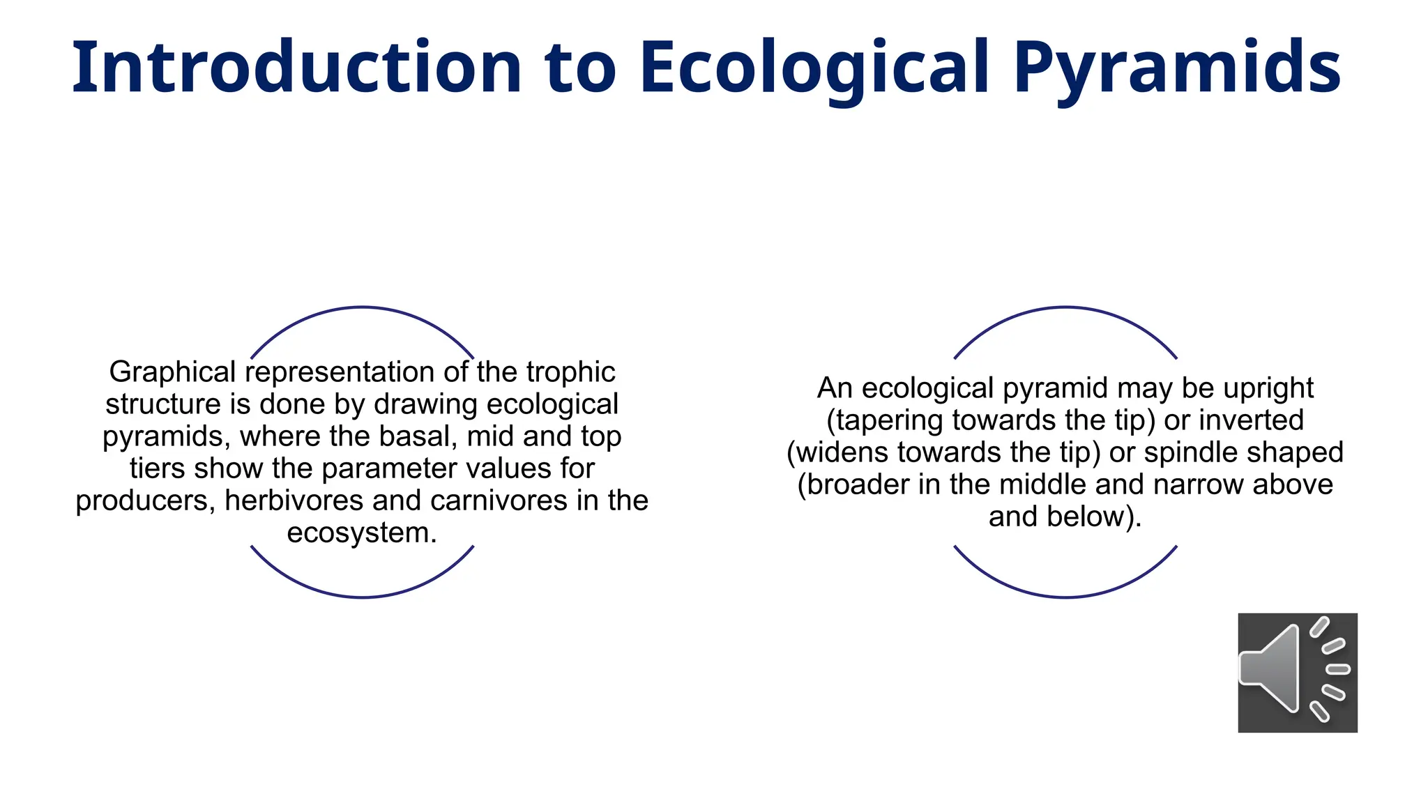 Ecological pyramids in different ecosystems | PPT