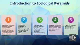 Ecological pyramids in different ecosystems | PPT