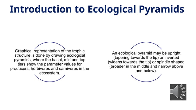 Ecological pyramids in different ecosystems | PPT
