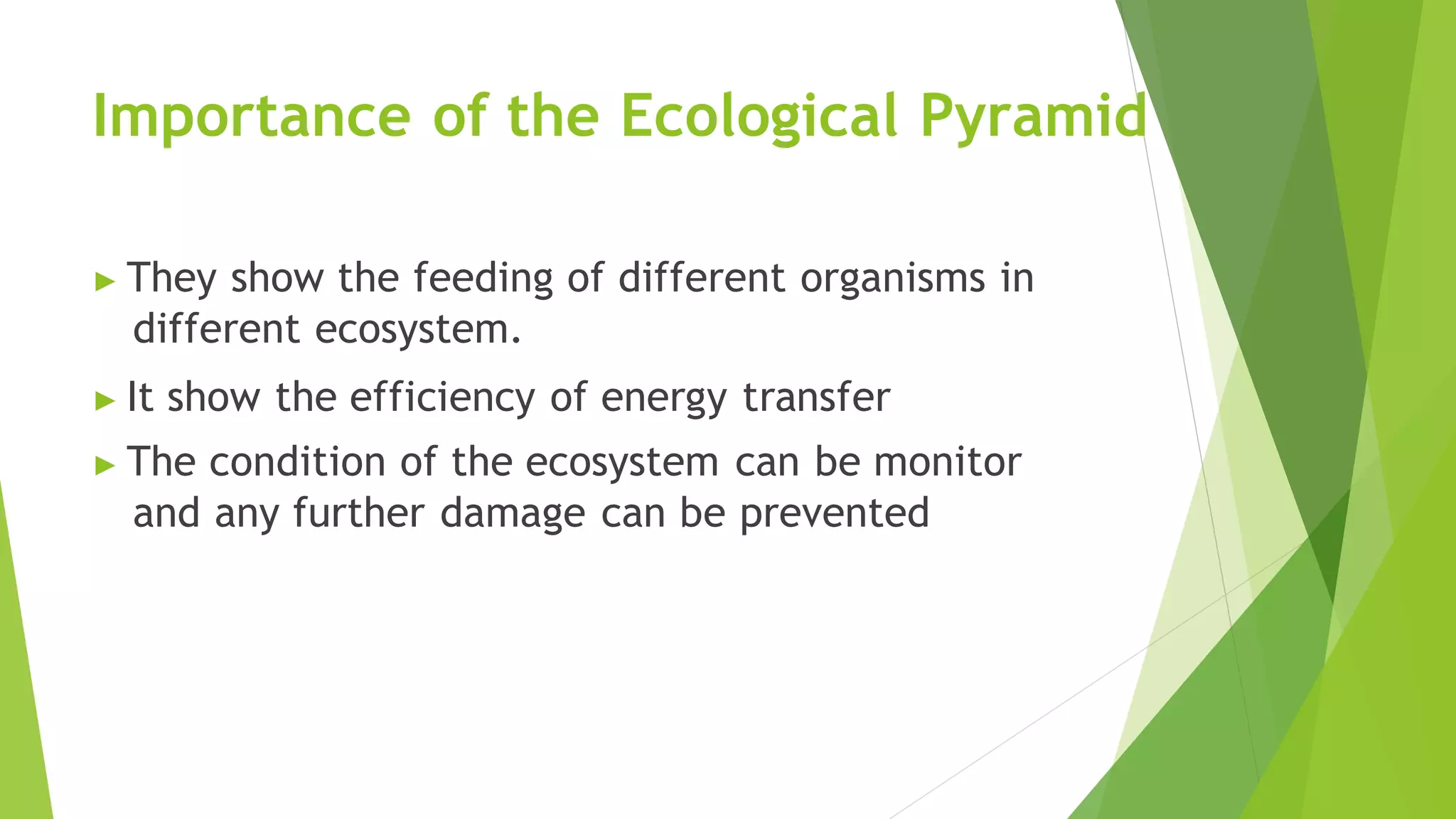 ecological pyramids by Neetu Gupta ppt new.pptx