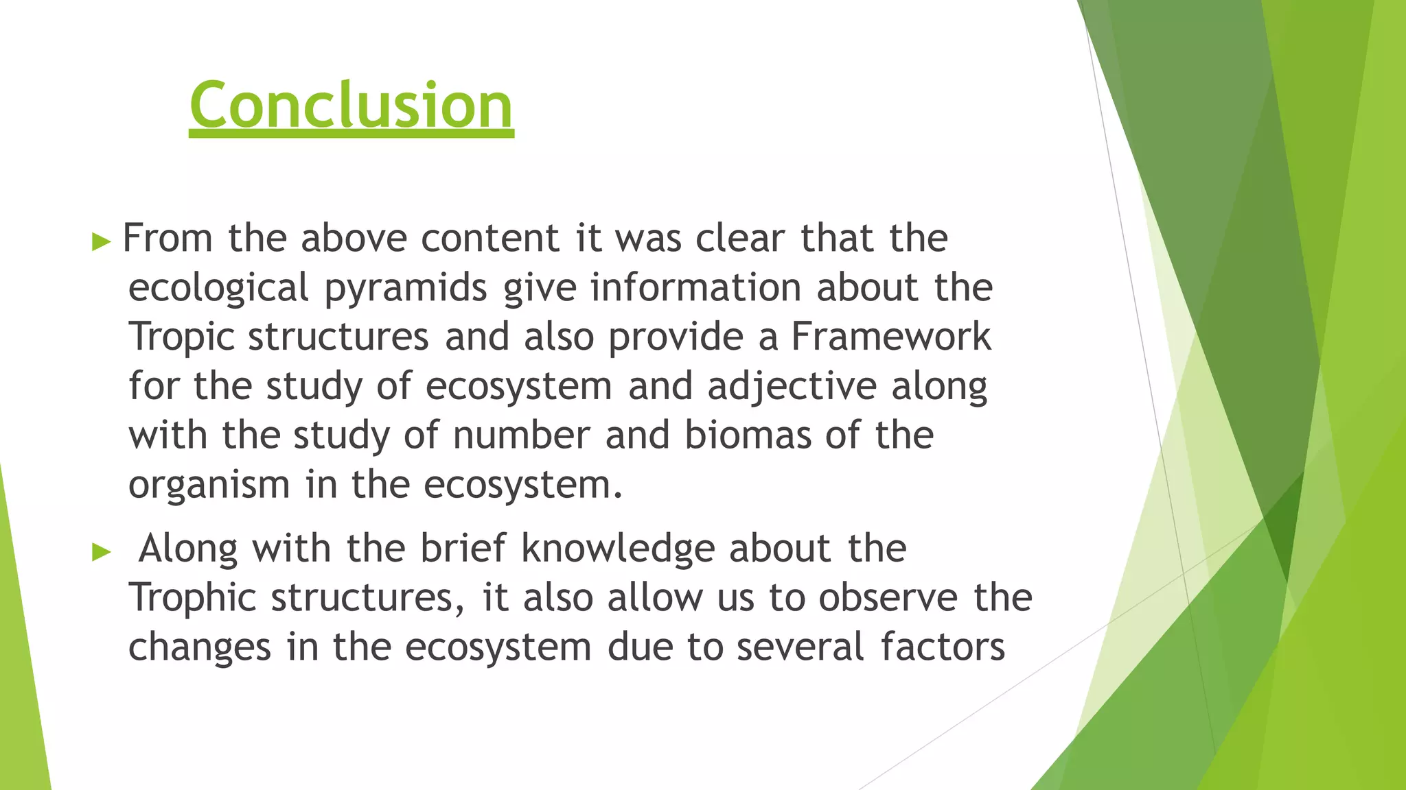ecological pyramids by Neetu Gupta ppt new.pptx