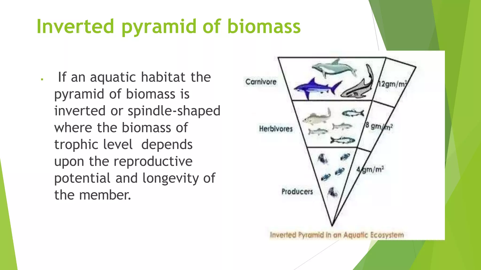 ecological pyramids by Neetu Gupta ppt new.pptx