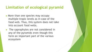 ecological pyramids by Neetu Gupta ppt new.pptx