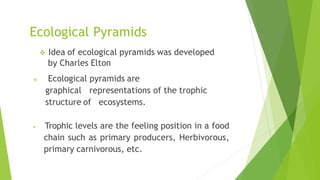 ecological pyramids by Neetu Gupta ppt new.pptx