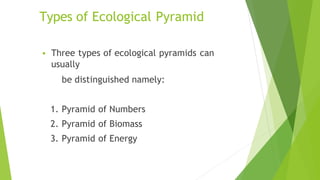 ecological pyramids by Neetu Gupta ppt new.pptx