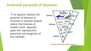 ecological pyramids by Neetu Gupta ppt new.pptx