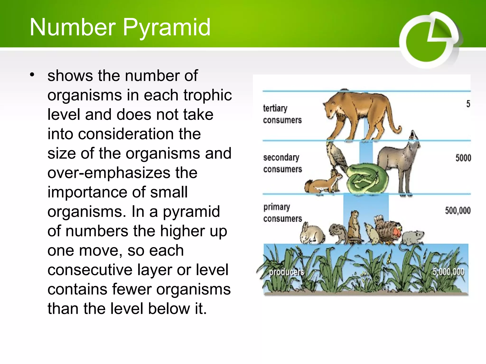Ecological Pyramids, Food Chain and Food Web | PPT