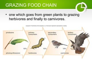 Ecological Pyramids, Food Chain and Food Web | PPT