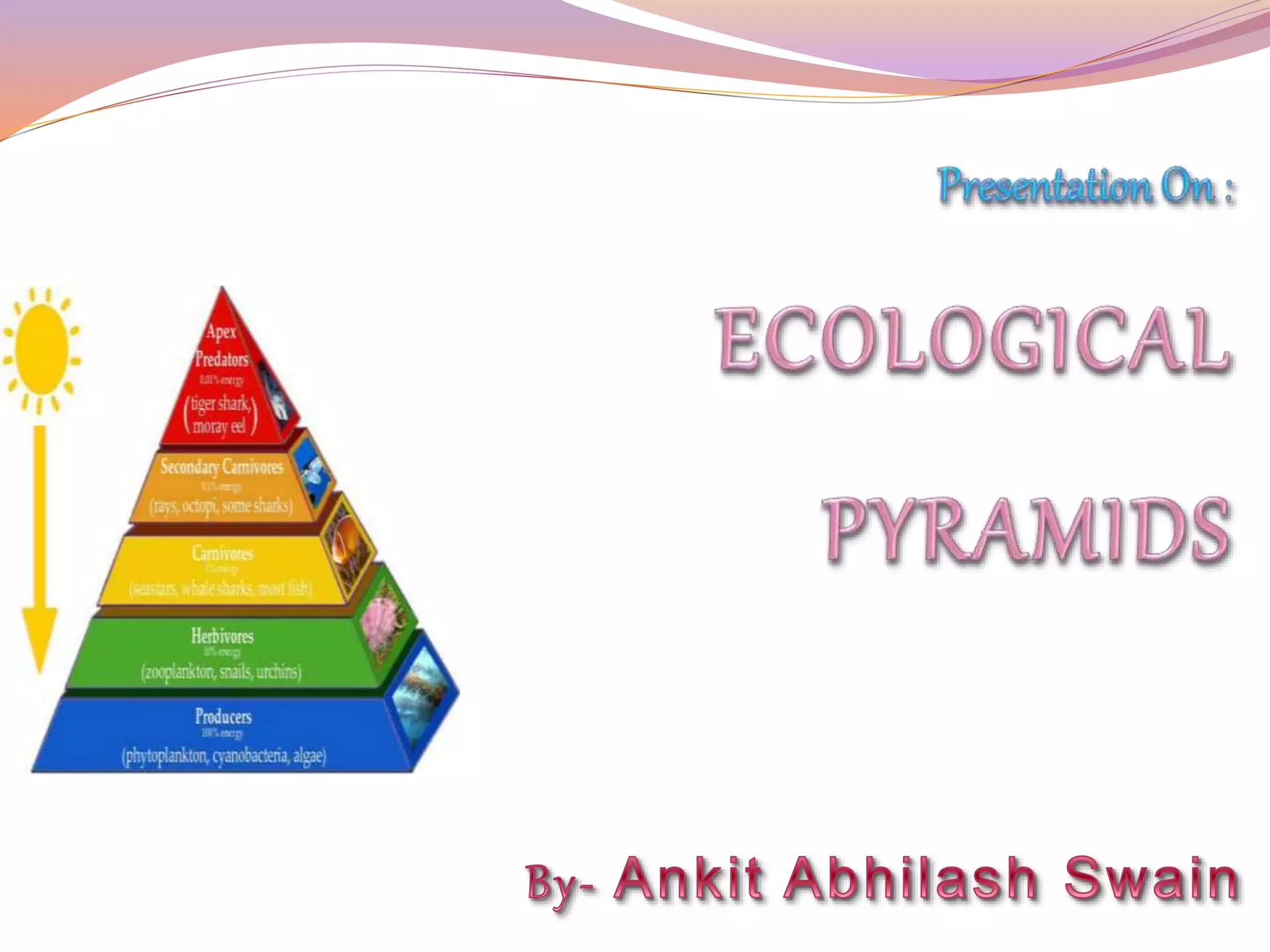 Ecological pyramids ppt | PPTX | Biological Sciences | Science