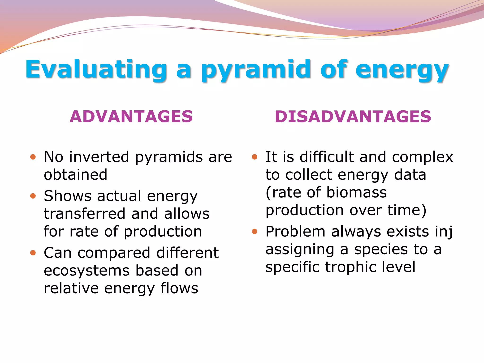 Ecological pyramids ppt | PPTX