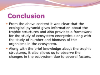 Ecological pyramids ppt | PPTX