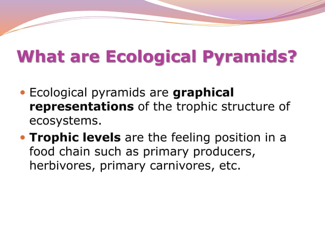 Ecological pyramids ppt | PPTX | Biological Sciences | Science