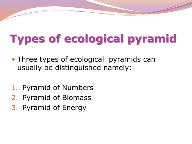 Ecological pyramids ppt | PPTX | Biological Sciences | Science