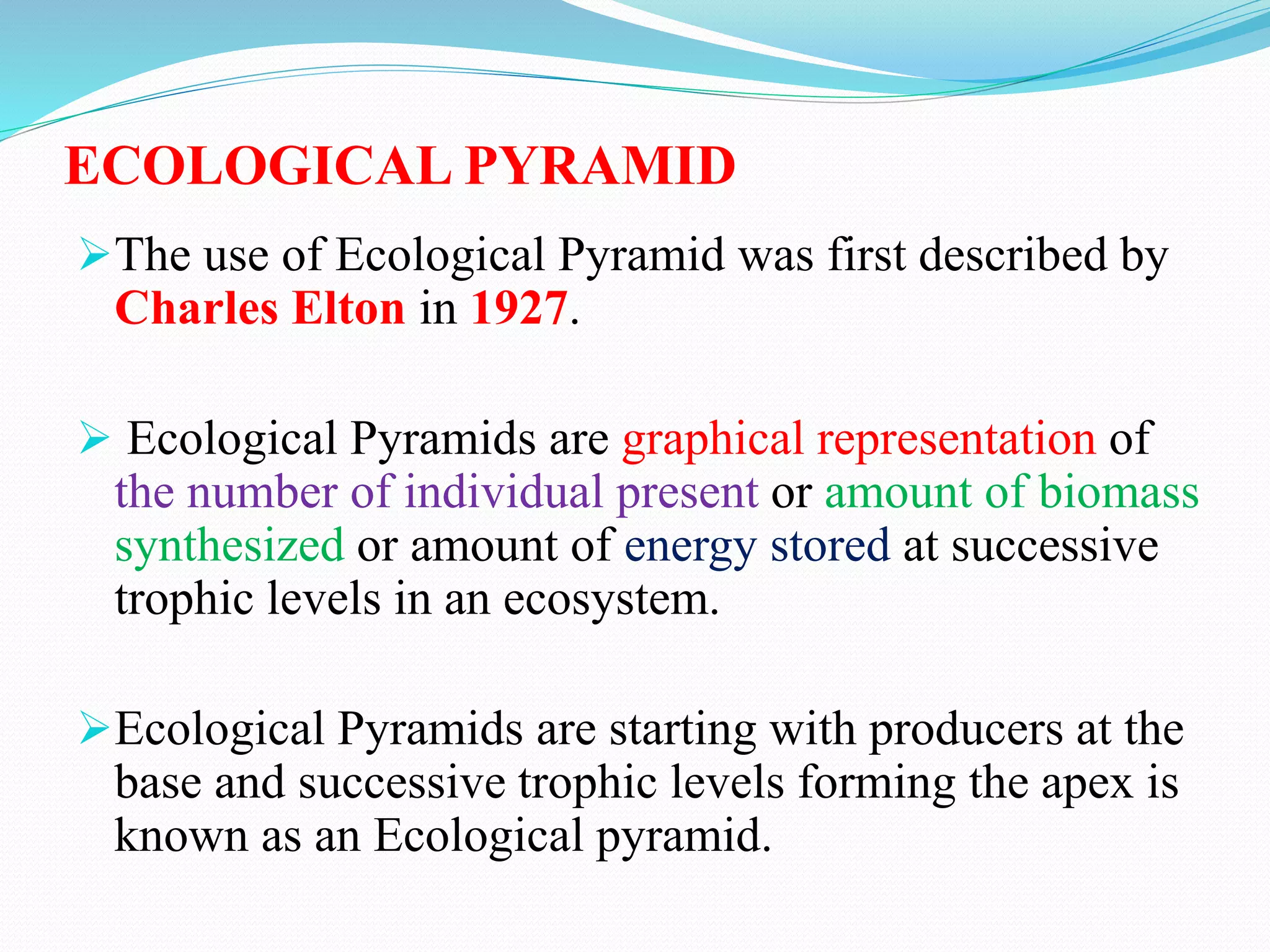 Ecological Pyramids | PPTX