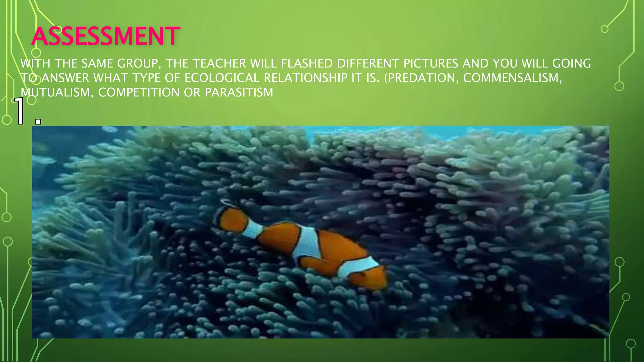 ECOLOGICAL RELATIONSHIP.pptx | Biological Sciences | Science