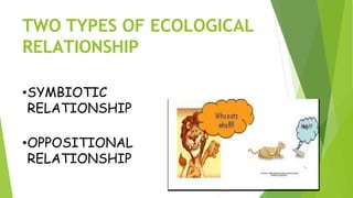 ecological relationship.pptx