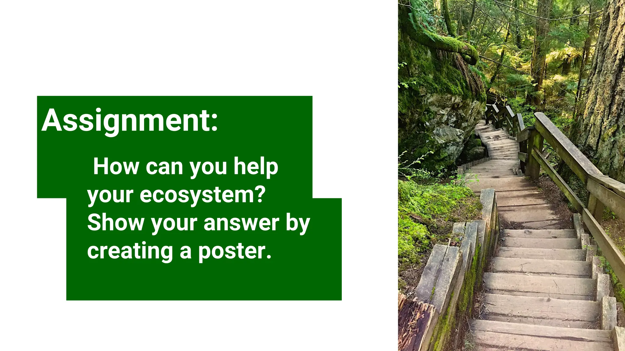 Ecological Relationship.pptx