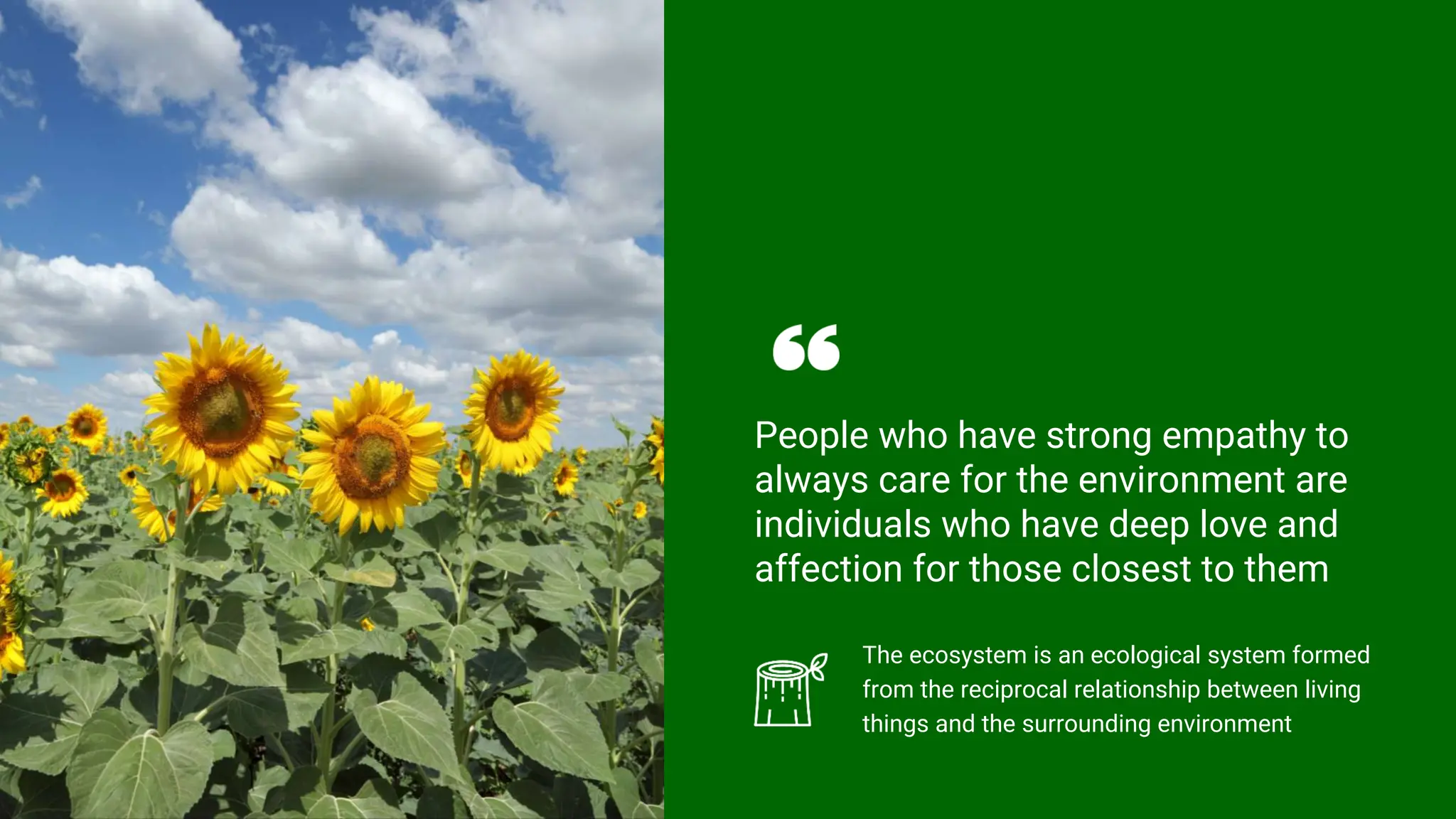 Ecological Relationship.pptx