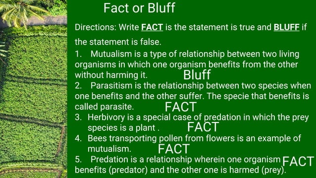Ecological Relationship.pptx