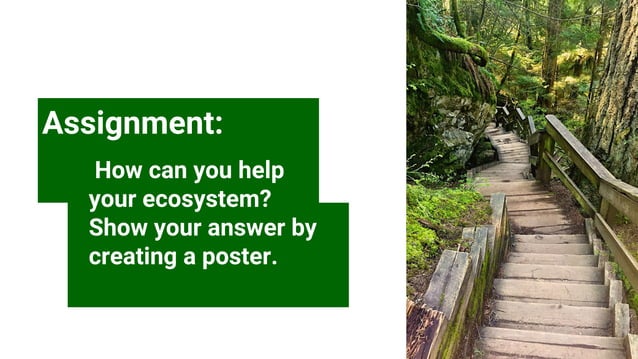 Ecological Relationship.pptx