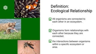 Ecological Relationship.pptx