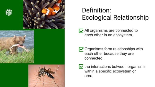 Ecological Relationship.pptx