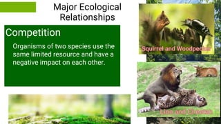 Ecological Relationship.pptx