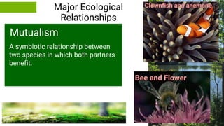 Ecological Relationship.pptx