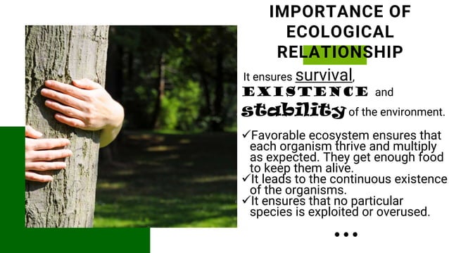 Ecological Relationship.pptx