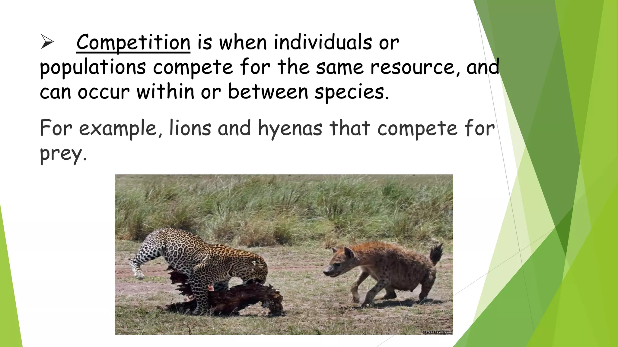 Ecological Relationship | PPTX