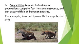 Ecological Relationship | PPTX