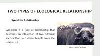 Ecological Relationships in an Ecosystem.pptx