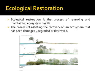 EcologicaL Restoration.pptx