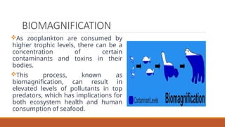ECOLOGICAL ROLES OF PLANKTON AND BENTHIC ORGANISMS.pptx