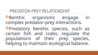 ECOLOGICAL ROLES OF PLANKTON AND BENTHIC ORGANISMS.pptx