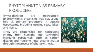 ECOLOGICAL ROLES OF PLANKTON AND BENTHIC ORGANISMS.pptx