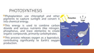 ECOLOGICAL ROLES OF PLANKTON AND BENTHIC ORGANISMS.pptx