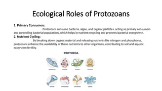 All about importance of Ecological roles of Protozoa.pptx