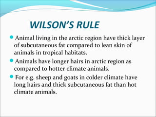 Ecological rules & animal survivability new | PPT