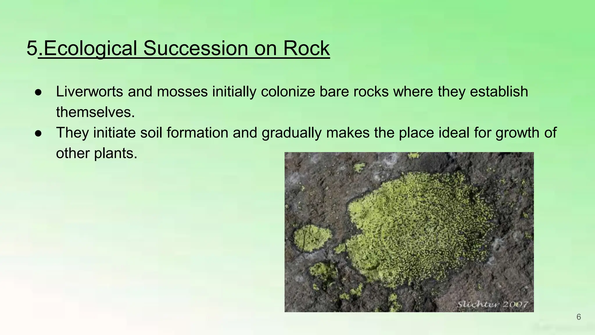 Ecological Significance of BRYOPHYTE.pptx