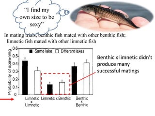 Ecological speciation - kashmeera | PPTX | Fish and Aquariums | Pets