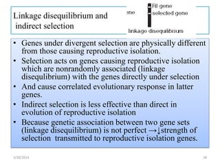 Ecological speciation - kashmeera | PPT