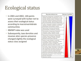 Ecological status and benthic macroinvertebrate communities of the ...