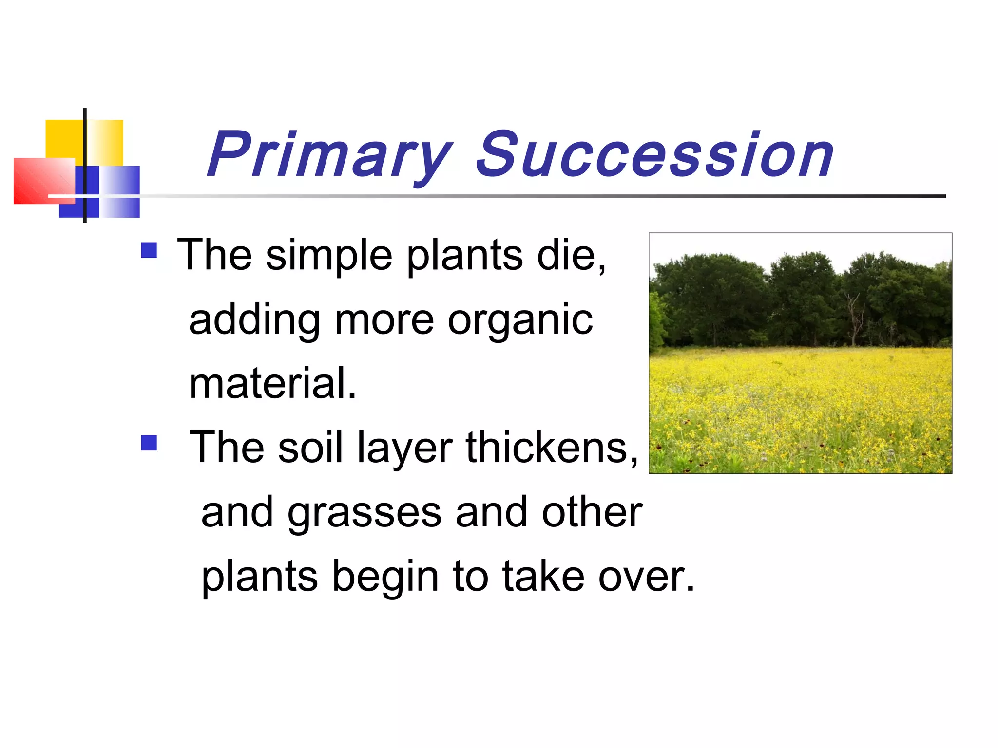 Ecological succession | PPT